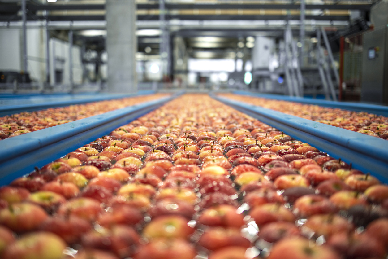 Food Manufacturing Recruitment Agencies in Michigan | Kinsa